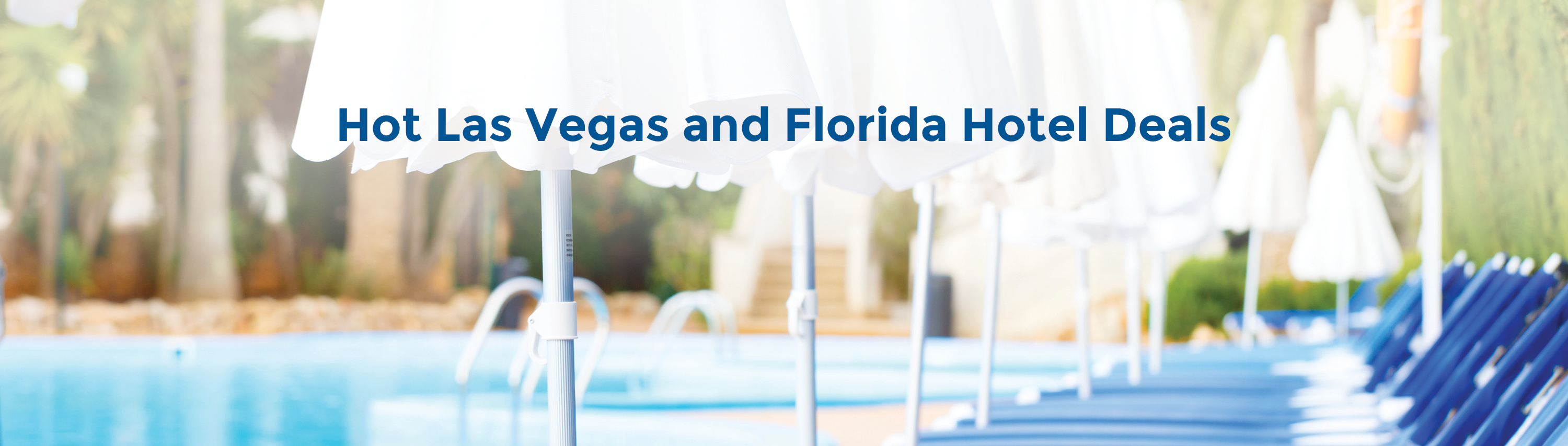 Hotel search form page